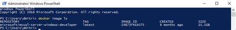 Building Perfect Development Lab With SQL Server In Containers About Sql Server