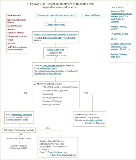 Jaundice Unconjugated Hyperbilirubinemia Anesthesia Key