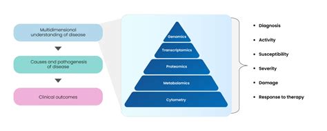 Roadmap To Biomarker Discovery Innovations Opportunities And