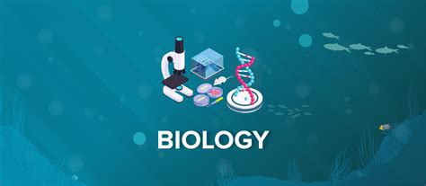Biology For Class 11 Engaging Lessons For Grade 11 Students