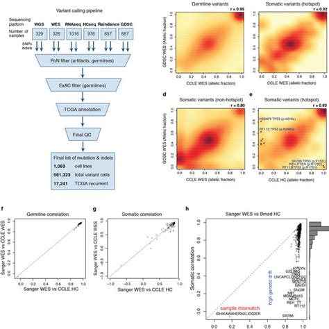 Overview Of Ccle Cell Lines And Datasets A The Existing And New Ccle Download Scientific