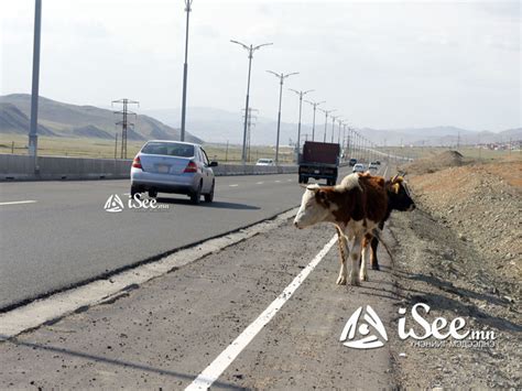 ЭХ СУРВАЛЖ Налайхын Голомт цогцолбор сургуулийн ахлах ангийн сурагч химийн бодист хордсон гэх