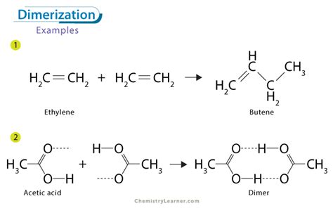 Dimerization Definition Types Examples And Applications