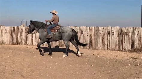 Lot 51 Blue Jeans Offered By Ryan Buschman Diamonds In The Desert