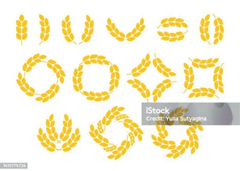 금 밀 곡물 귀 세트 원형 화환 프레임 아이콘 전체 빵 곡물 밀 보리 쌀 옥수수 귀리 귀 농업 시리얼 제품 빵집을위한 Spica 수확 식물 벡터 기호 보리에 대한 스톡 벡터