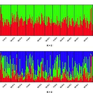 Clustering analysis conducted in STRUCTURE A K ¼ 2 B K ¼ 3 Download Scientific Diagram