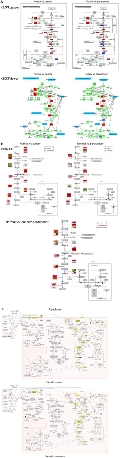 Tools For Visualization And Analysis Of Molecular Networks Pathways Aabc