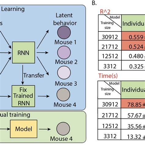 A Transfer Learning Model Framework Each Of The Four Mice Has A