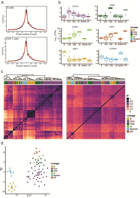 Overview Of Atac Seq And Rna Seq Data A Enrichment Of Atac Seq Reads