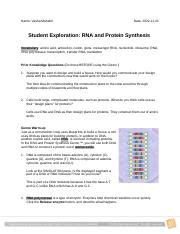 Understanding Rna And Protein Synthesis Exploring Transcription Course Hero