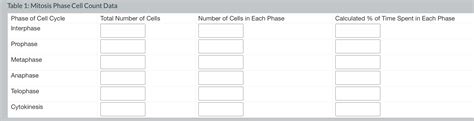Solved Part 1 Calculating Time Spent In Each Cell Cycle