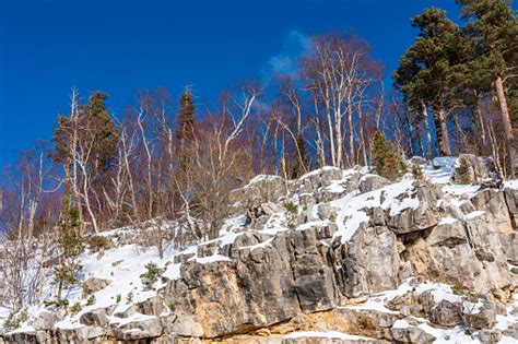 마법의 산 겨울 록 키 풍경 상록 나무가 맑은 푸른 하늘 라고 나 키의 배경에 성장 노란 바위 주요 백인 능선 러시아 0명에 대한 스톡 사진 및 기타 이미지 Istock