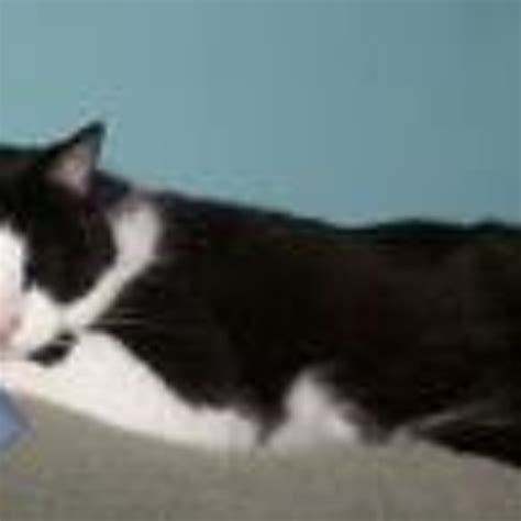 Stream Tamara Dawn Maxwell Music Listen To Songs Albums Playlists For Free On Soundcloud