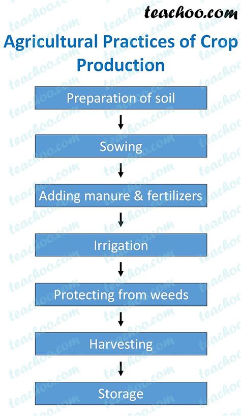 Different Types Of Agricultural Practices To Produce Crops