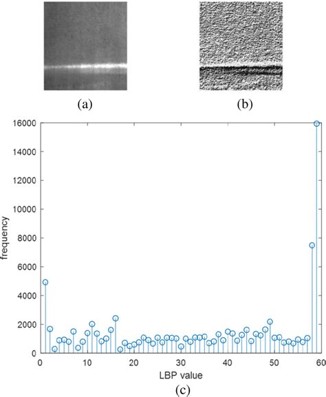 Lbp Statistical Histogram Of Scratches Download Scientific Diagram