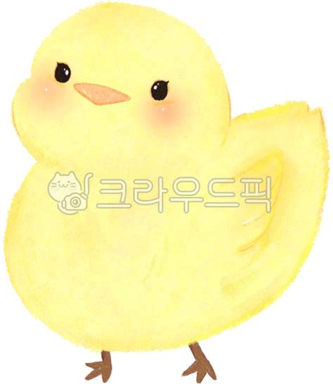 크레용병아리 크레파스병아리 병아리캐릭터 귀여운병아리 동화같은 사진 이미지 일러스트 캘리그라피 비얌작가