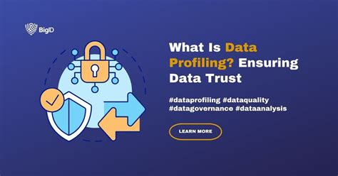 What Is Data Profiling Ensuring Data Trust BigID