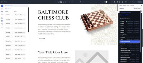 Using Design Variables With Presets In Divi 5