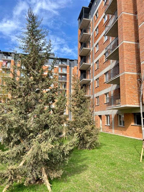 🌲 ჩვენი კომპლექსის შენი სახლი სამგორში • Samgori House