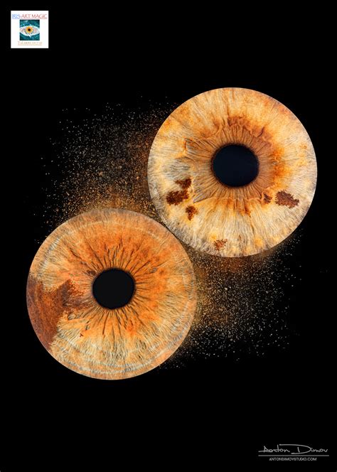 Ирисова фотография • Ирисова фотография гр Стара Загора