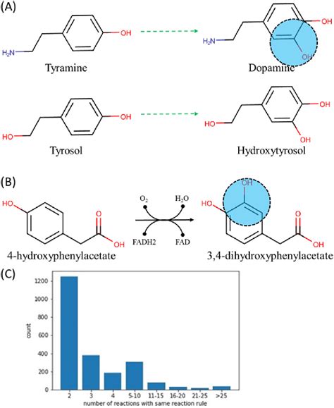 Novel Reactions Using Reaction Rules A Novel Promiscuous Hydroxylase Download Scientific