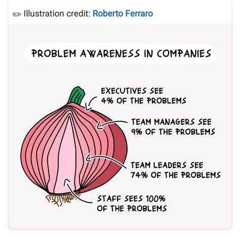 Seeing Versus Solving Problems Giselle Hudson Clarity Sensemaking