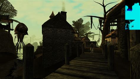 Strange Blue Effect On Screen Rmorrowind