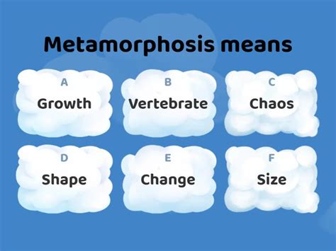 Life Cycle Quiz