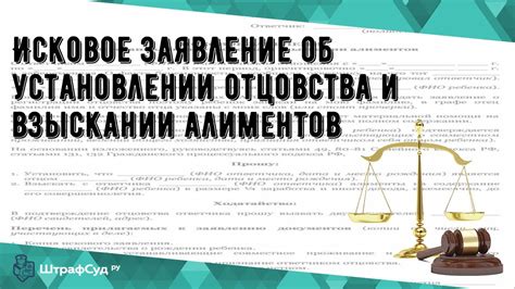 Исковое заявление об установлении отцовства и взыскании алиментов Youtube