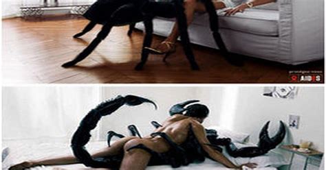 Why You Shouldn T Have Sex With Spiders Daily Star