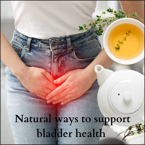 Urinary Tract Infections And Bladder Conditions Herbal Treatment