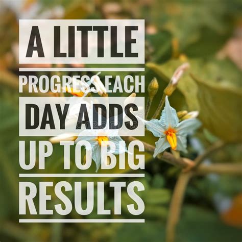 a quote a little progress each day adds up big results isolated nature background stock