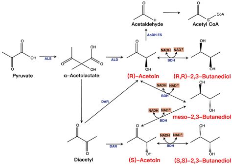 Metabolic Engineering Of Microorganisms To Produce Pyruvate And Derived