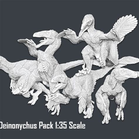 🦖 Deinonychus Pack 135・ 3d File For ・cults