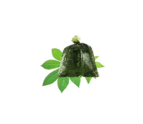 Matapa Pilada Welelawelela