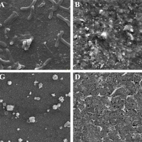 pdf applications and challenges of the reverse osmosis membrane