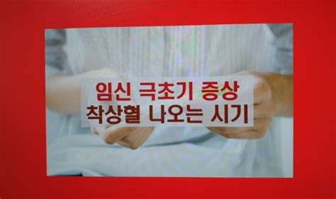 임신 극초기 증상 및 관리법 I 아랫배 가슴 냉 착상혈 통증 임테기 입덧 주차별 네이버 블로그