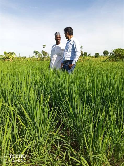 Somnath Sengupta On Linkedin Zerohunger2030