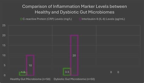 The Hidden Connection Between Your Gut And Your Brain Celluvive Premium Supplements And