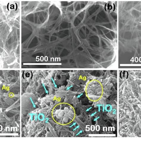 Scanning Electron Micrographs Of A C Tio 2 Nanowires Synthesized Download Scientific Diagram