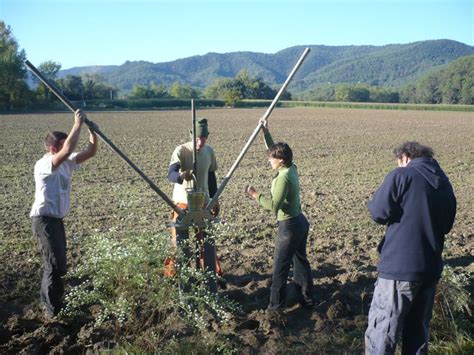 What Is Window Sampling Van Walt News