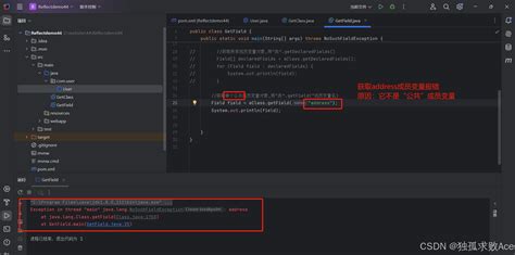 第44天：web开发 Javaee应用and反射机制and类加载器and利用链and成员变量and构造方法and抽象方法 Csdn博客