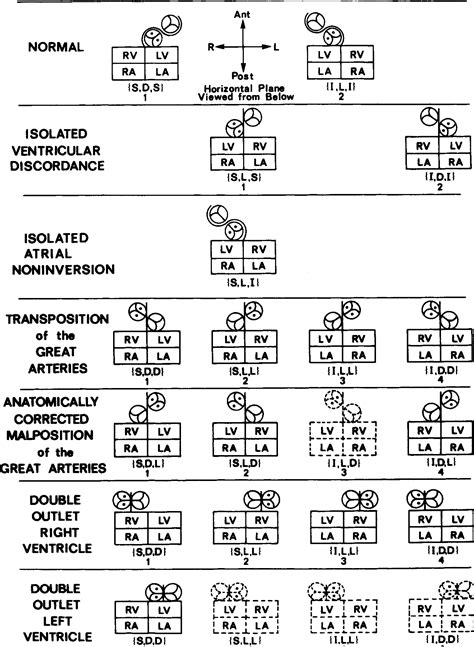 Figure 1 From Terminology Of Congenital Heart Disease Glossary And Commentary Semantic Scholar