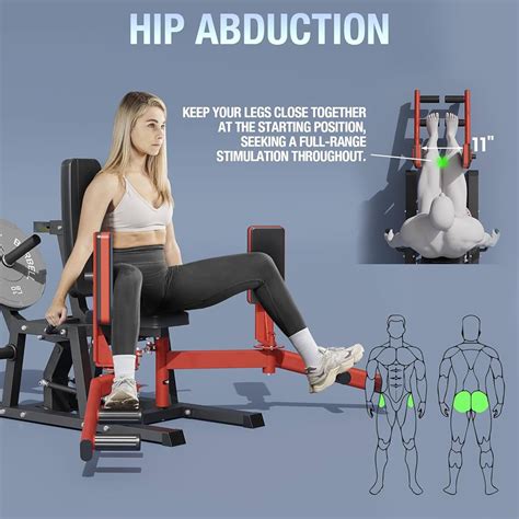 Hip Abductor Exercises Before And After