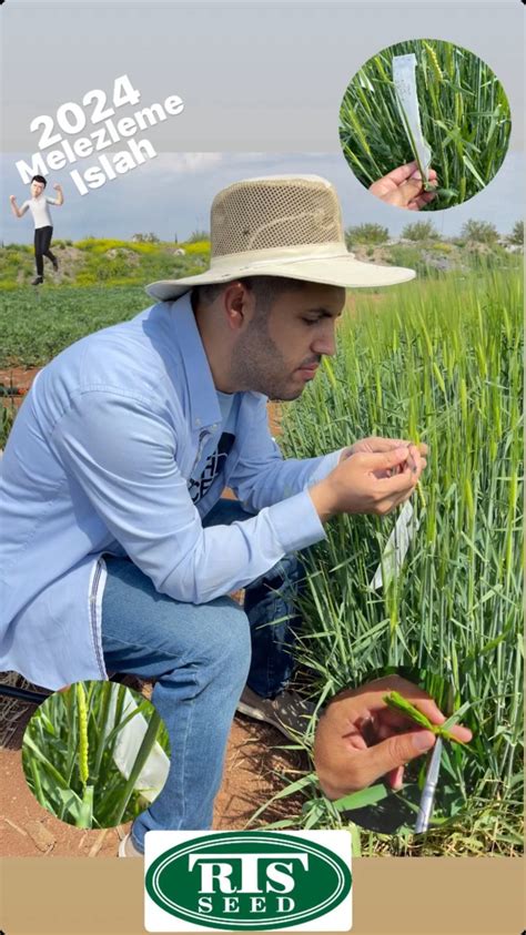 Cihad Orhan Posted On Linkedin