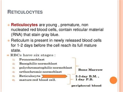 Reticulocyte Count