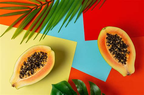 화려한 생생한 종이에 파파야와 야자수 잎과 창조적 인 열대 레이아웃 최소한의 추상적 인 여름 개념입니다 플랫 레이 0명에 대한 스톡 사진 및 기타 이미지 Istock