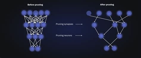 Shrinking Deep Learning Giants Quantization Pruning And Knowledge Distillation Explained By