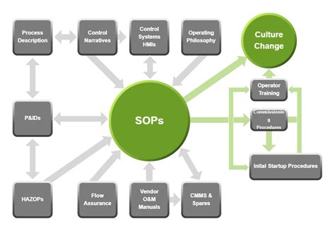 SOP Flowchart Format Online Examples EdrawMax Template