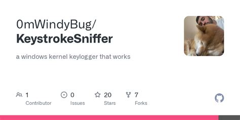 Github 0mwindybugkeystrokesniffer A Windows Kernel Keylogger That Works
